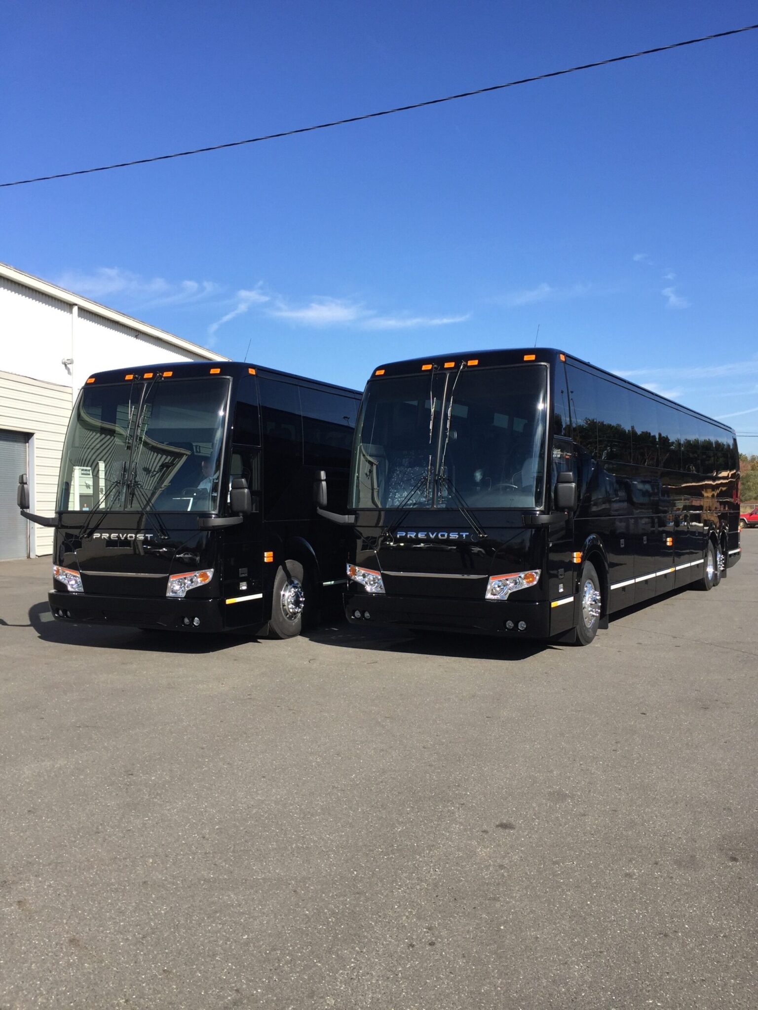 Charter Bus Services with Wi-Fi & Comfort | Ride Stress-Free